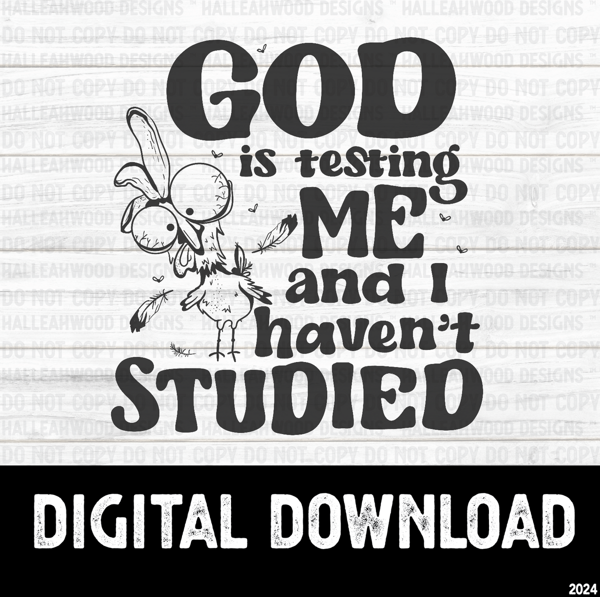 God is testing me – Halleahwood