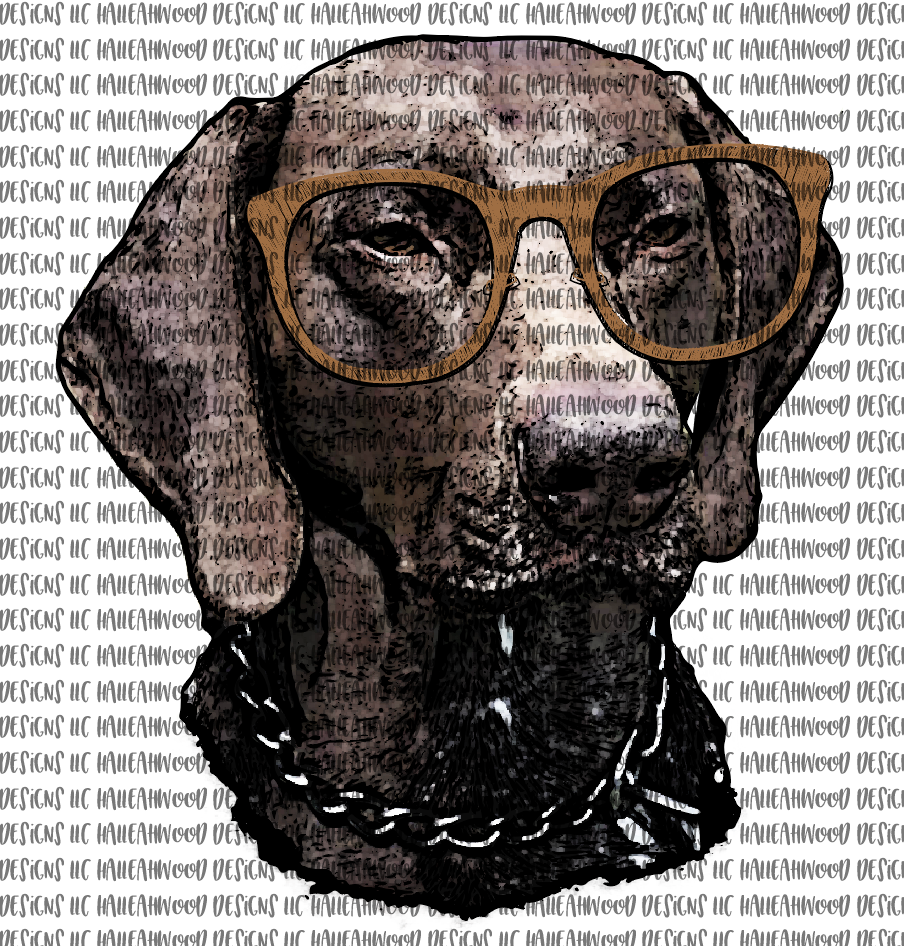 GSP boy with glasses – Halleahwood